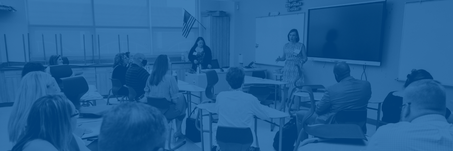 Customized Professional Learning Models for Mathematics Educators ...